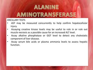 What Causes High Ggt Levels In Dogs