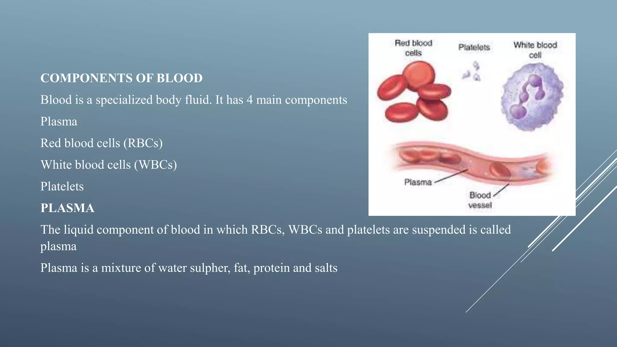 Blood chemistry | PPTX