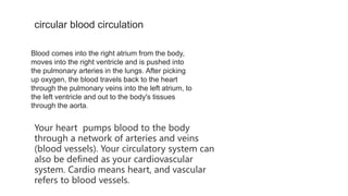 blood ciculation.pptx