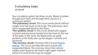 blood ciculation.pptx