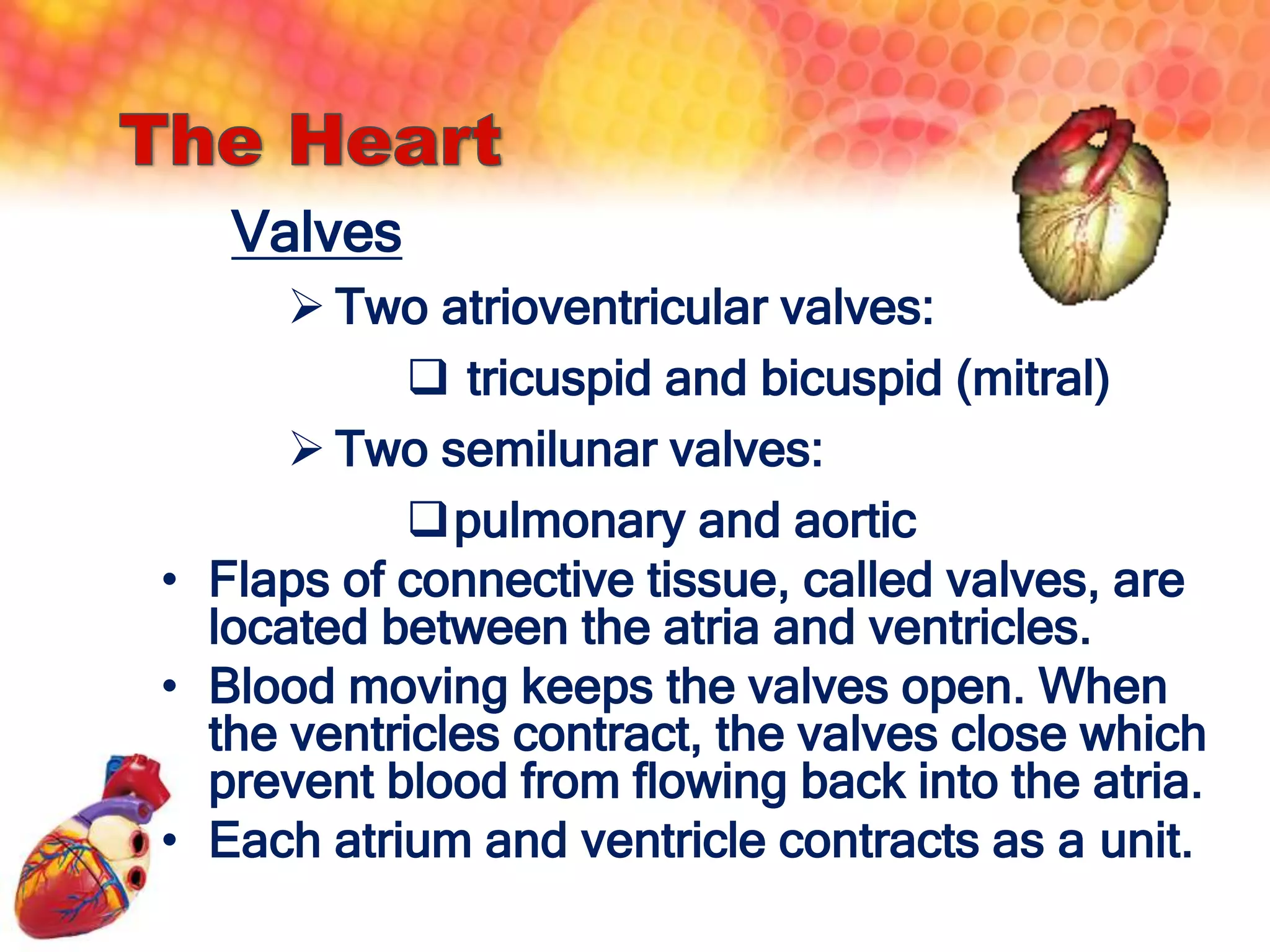 Blood circulatory system | PPTX