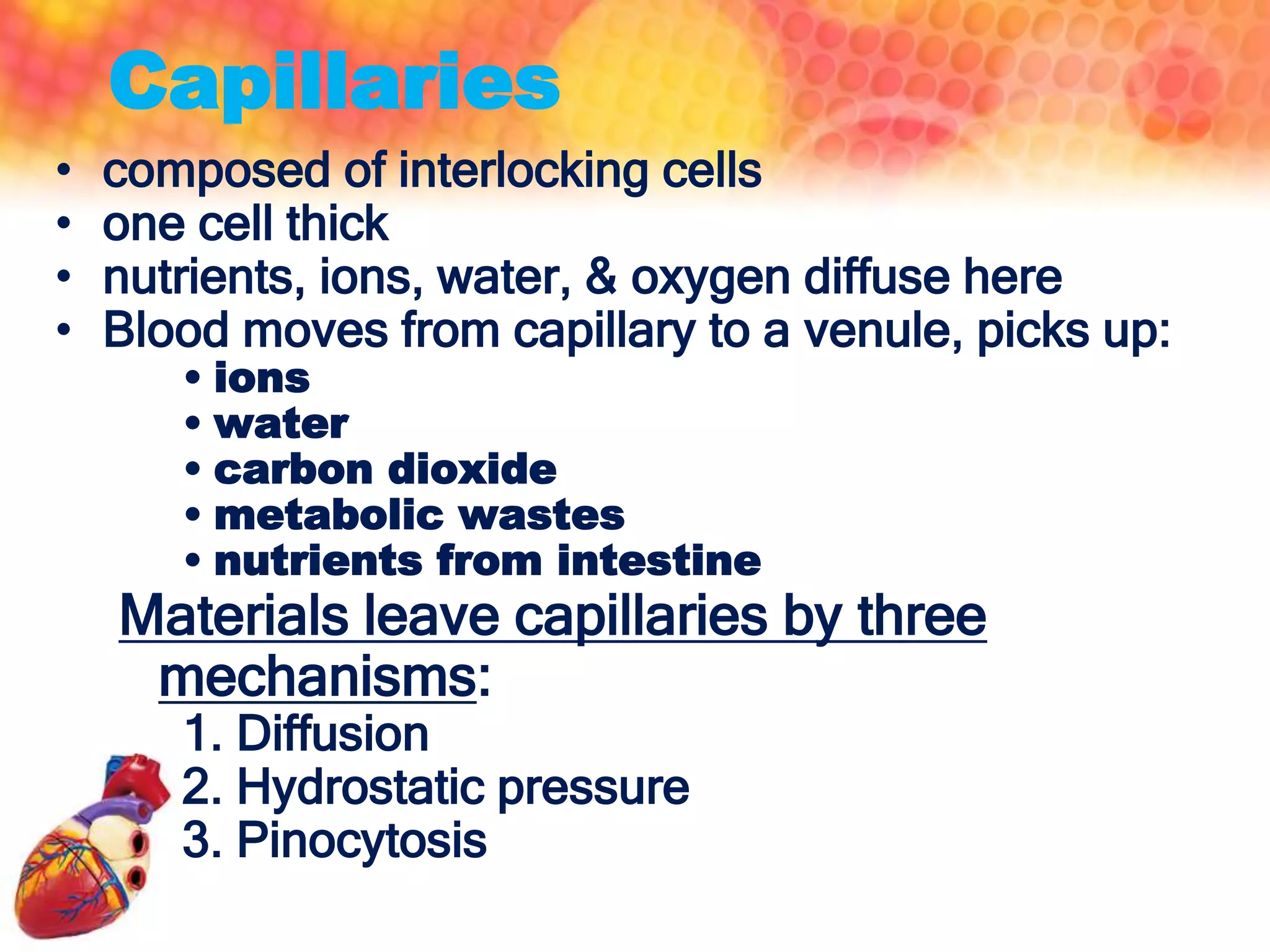 Blood circulatory system | PPTX