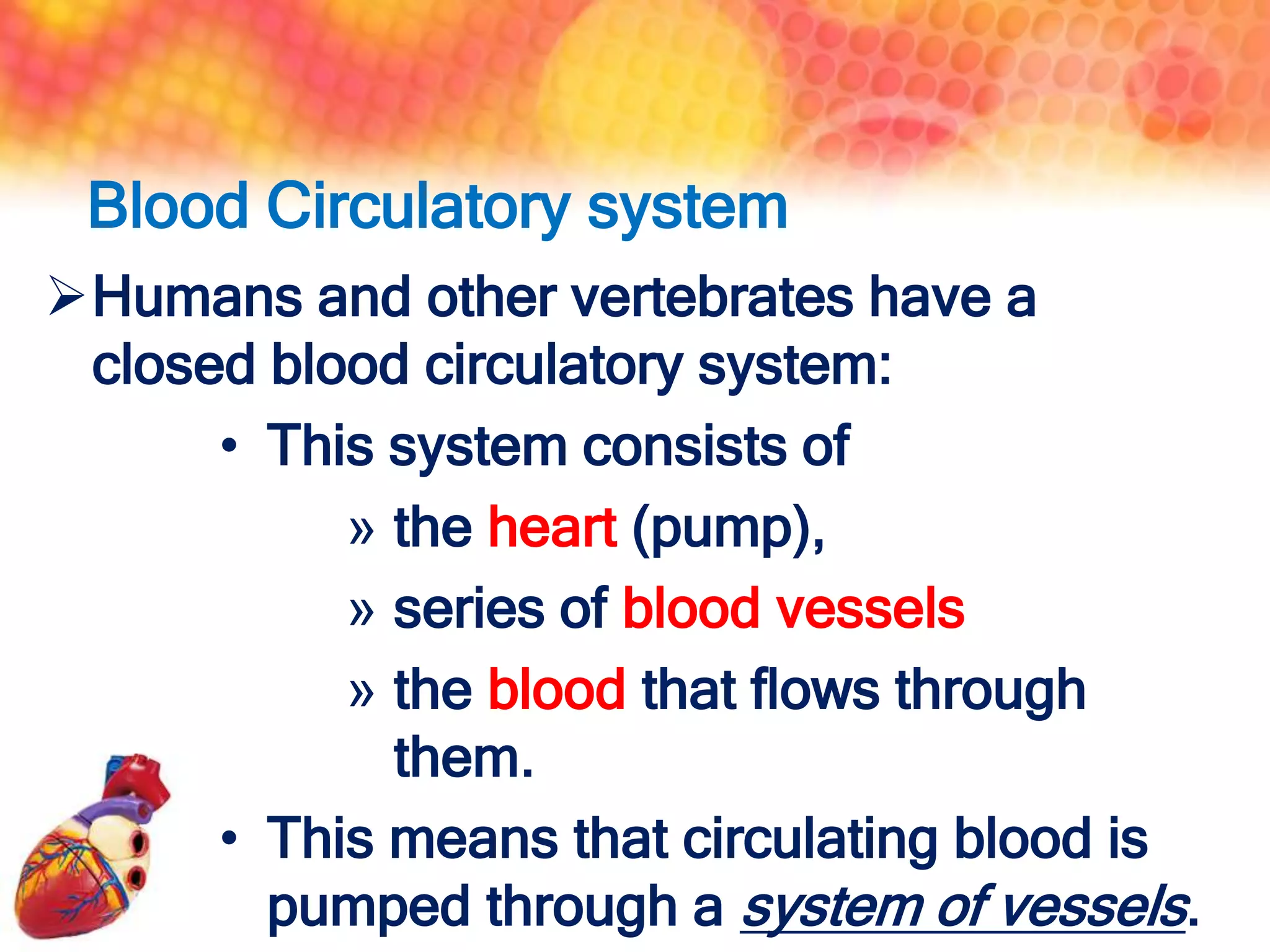 Blood circulatory system | PPTX