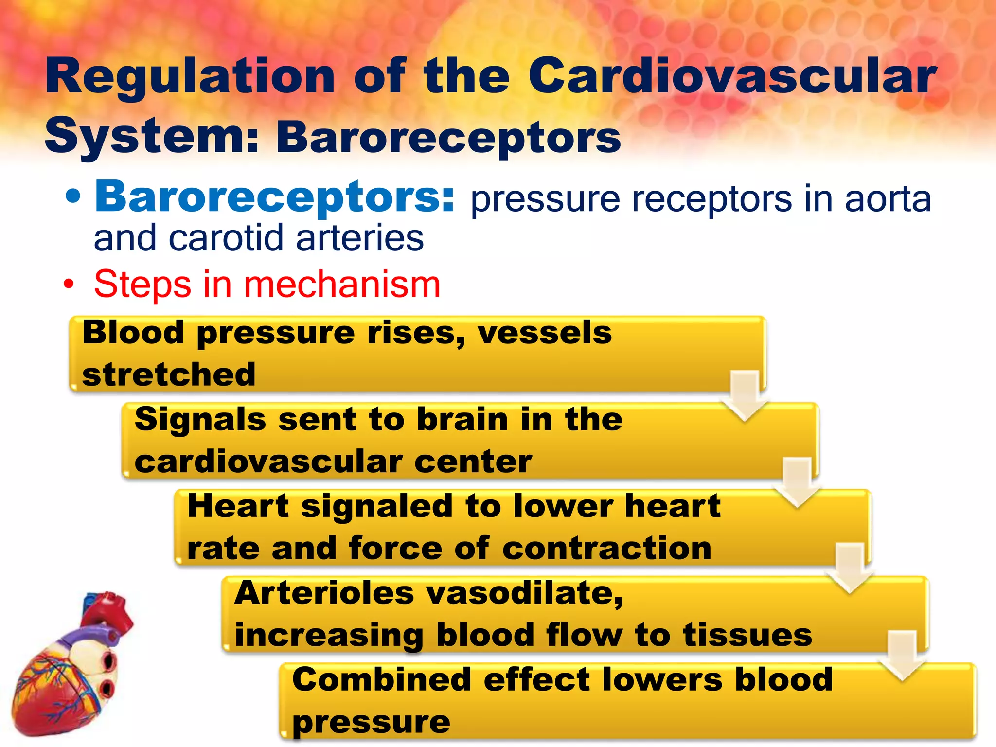 Blood circulatory system | PPTX