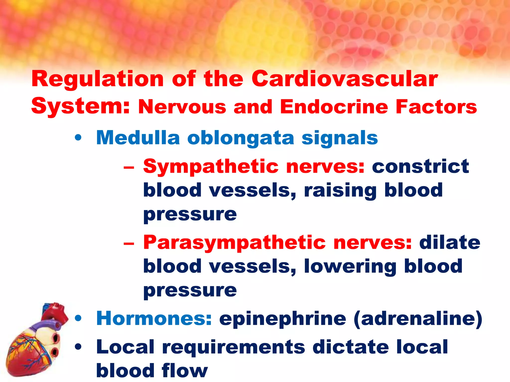 Blood circulatory system | PPTX