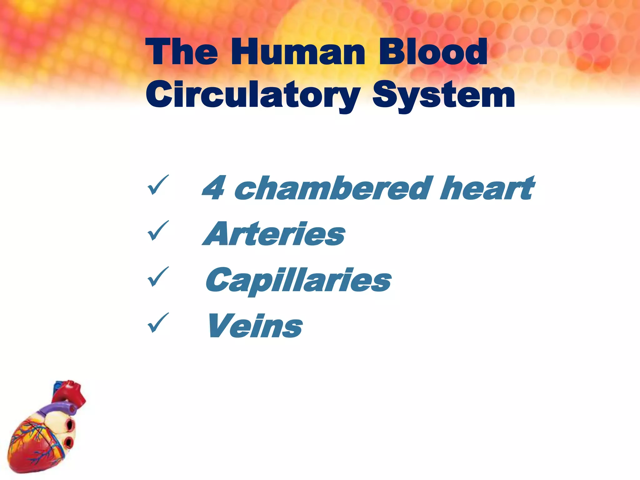 Blood circulatory system | PPTX