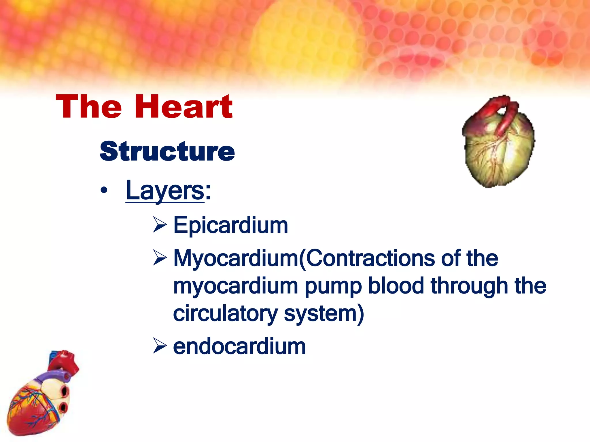 Blood circulatory system | PPTX