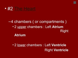 Blood & Circulation | PPT