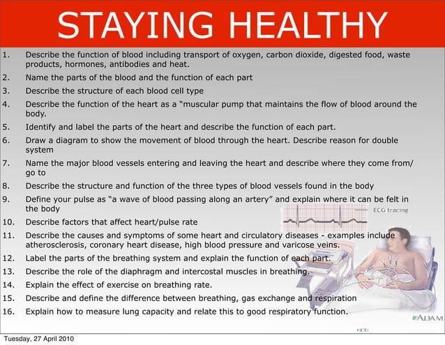 Blood & circulation | PDF | Heart and Cardiovascular Diseases | Diseases and Conditions