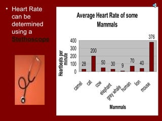 Blood & circulation | PPT