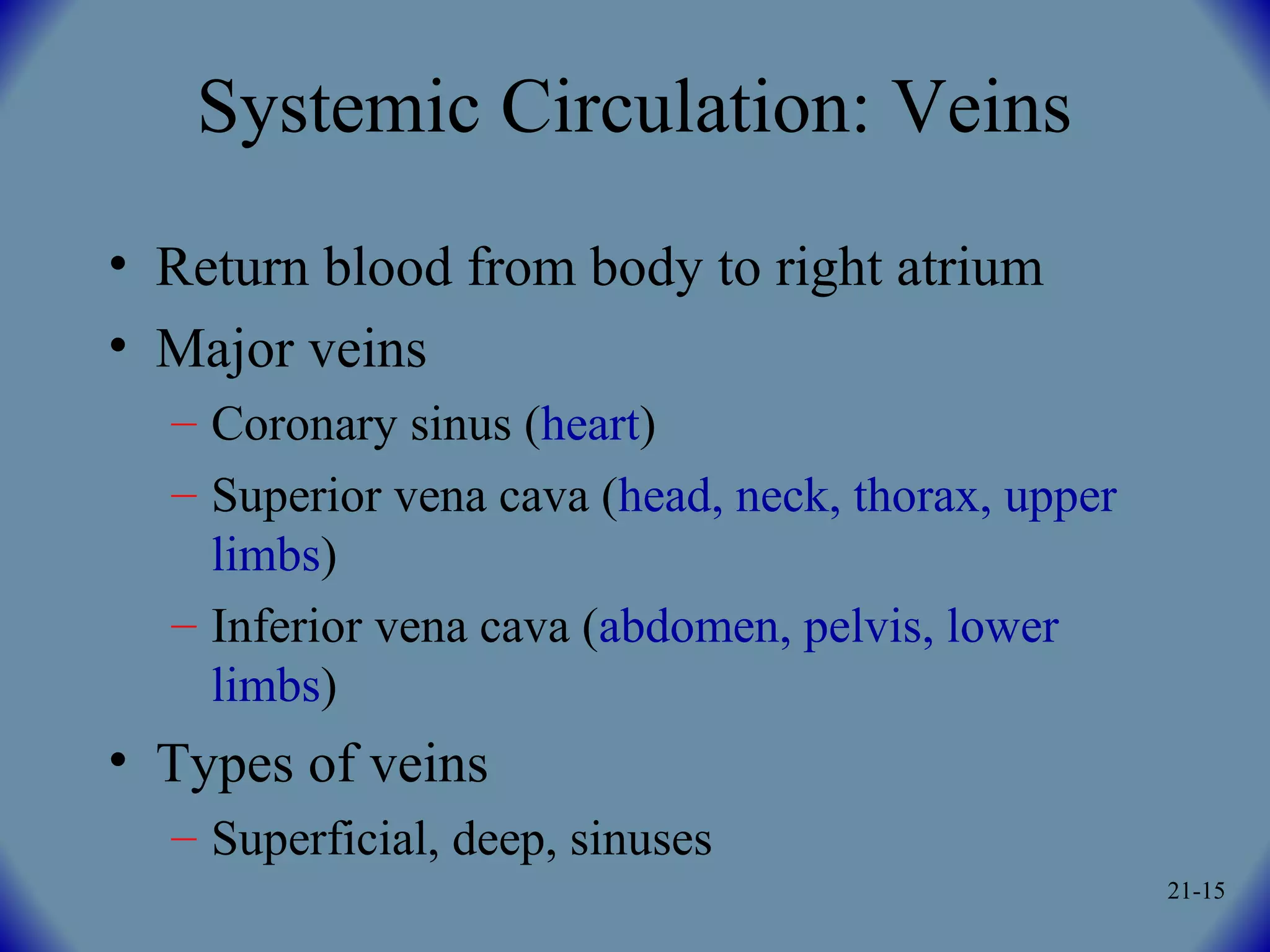 Blood Circulation & Flow | PPT
