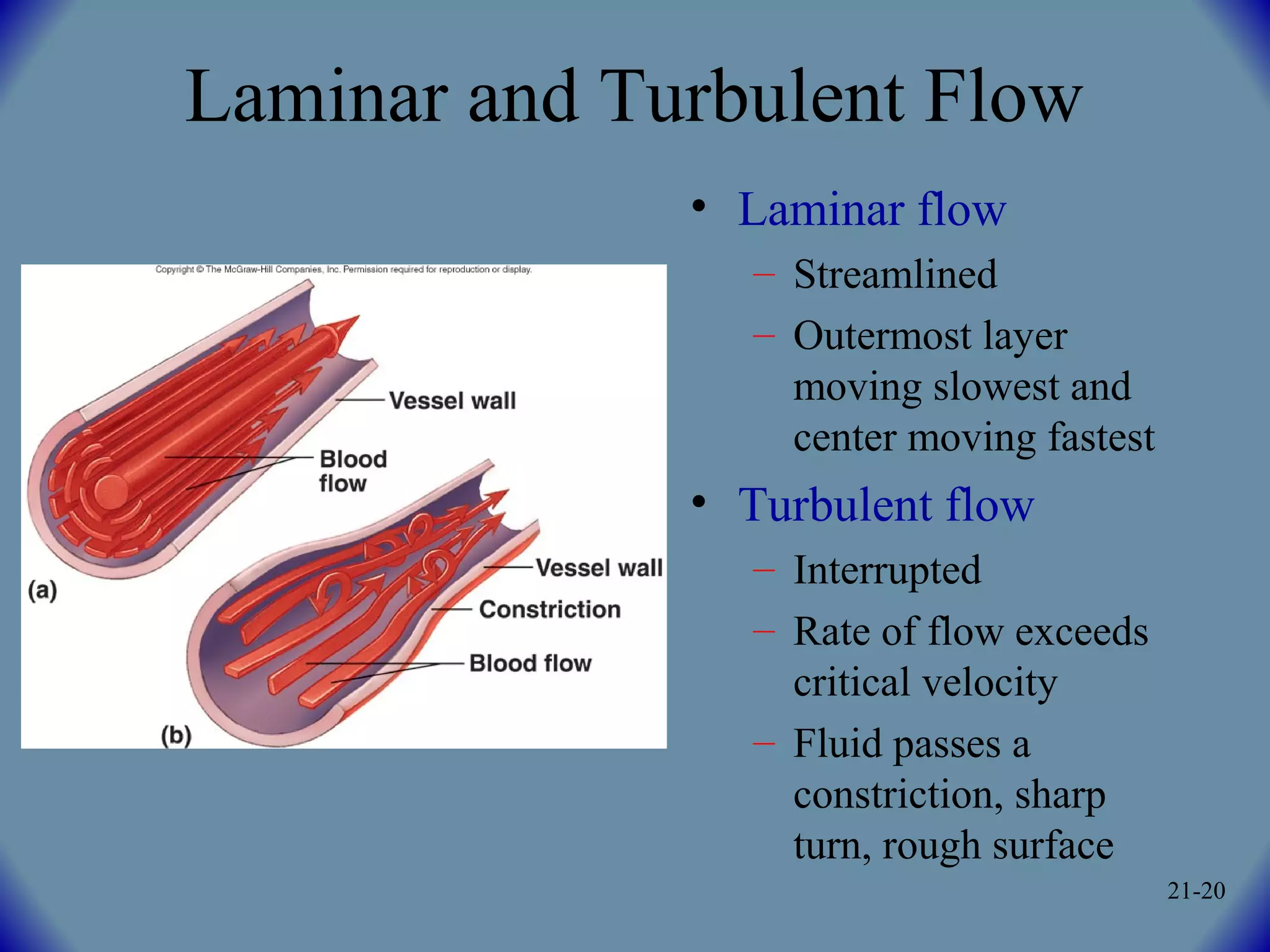 Blood Circulation & Flow | PPT
