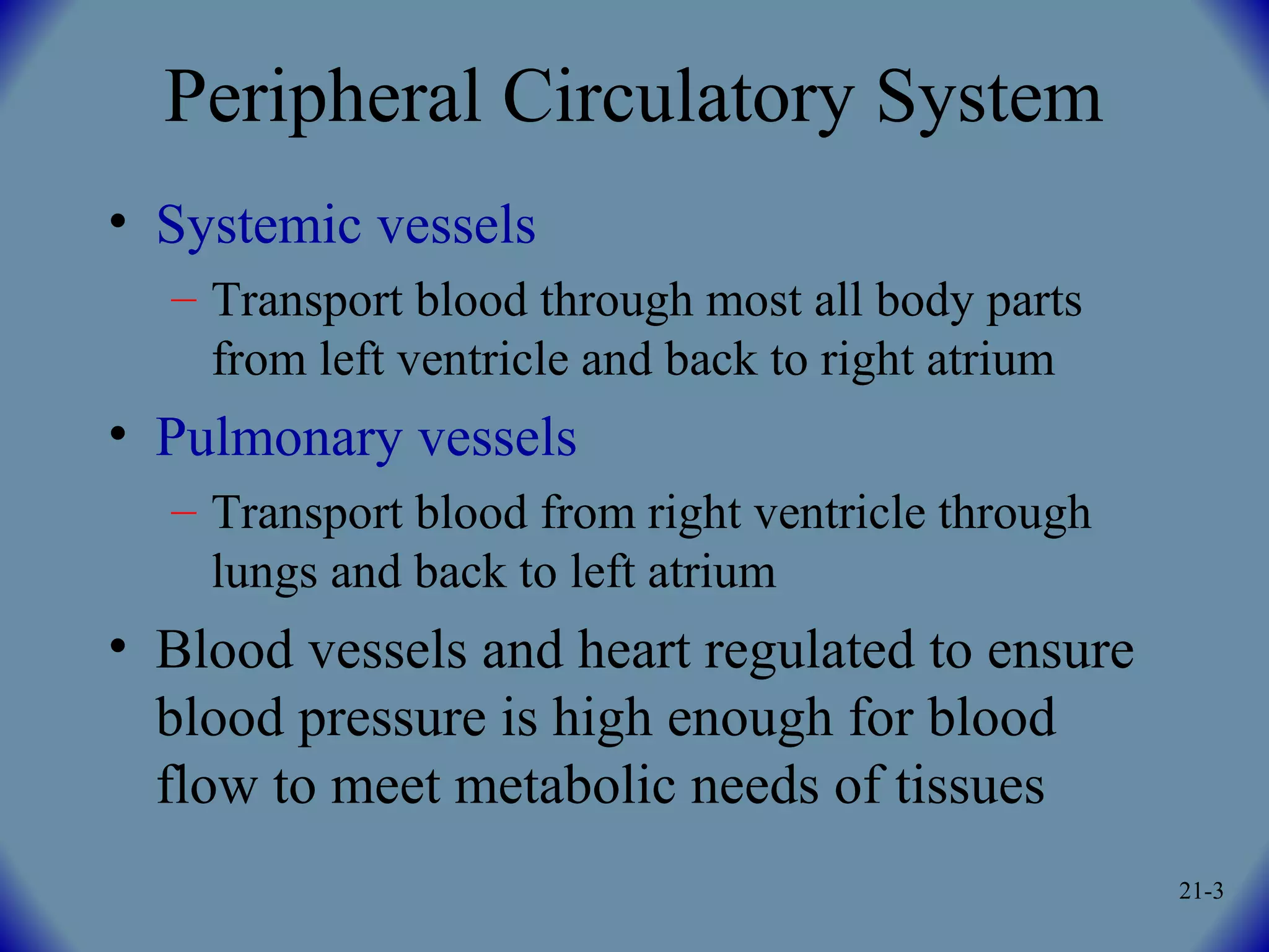Blood Circulation & Flow | PPT