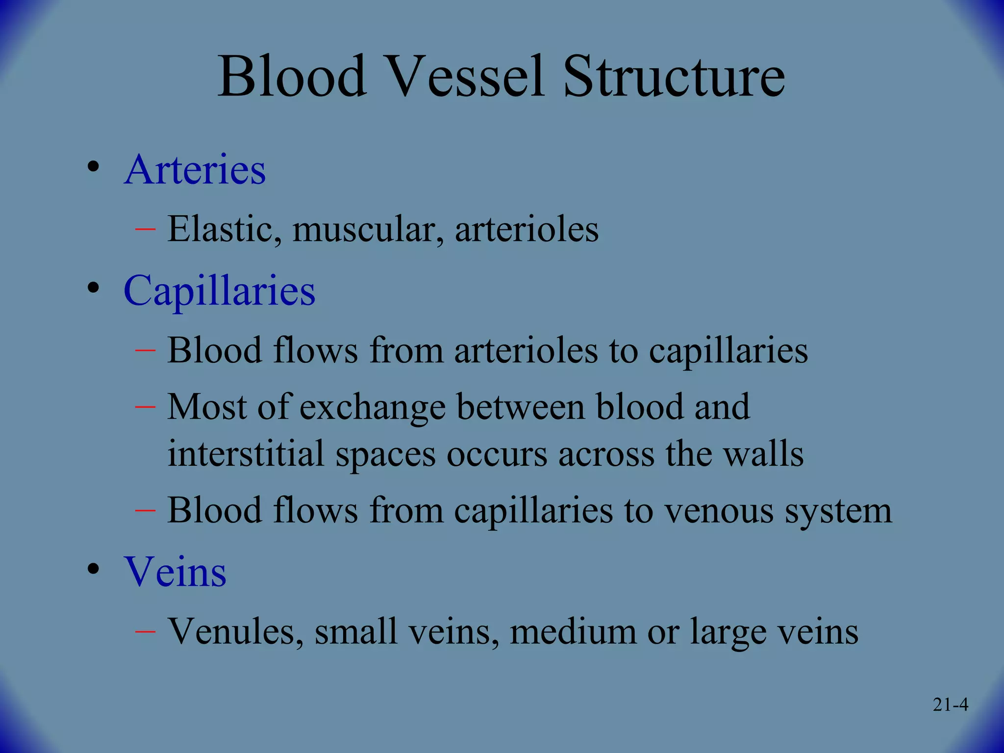 Blood Circulation & Flow | PPT
