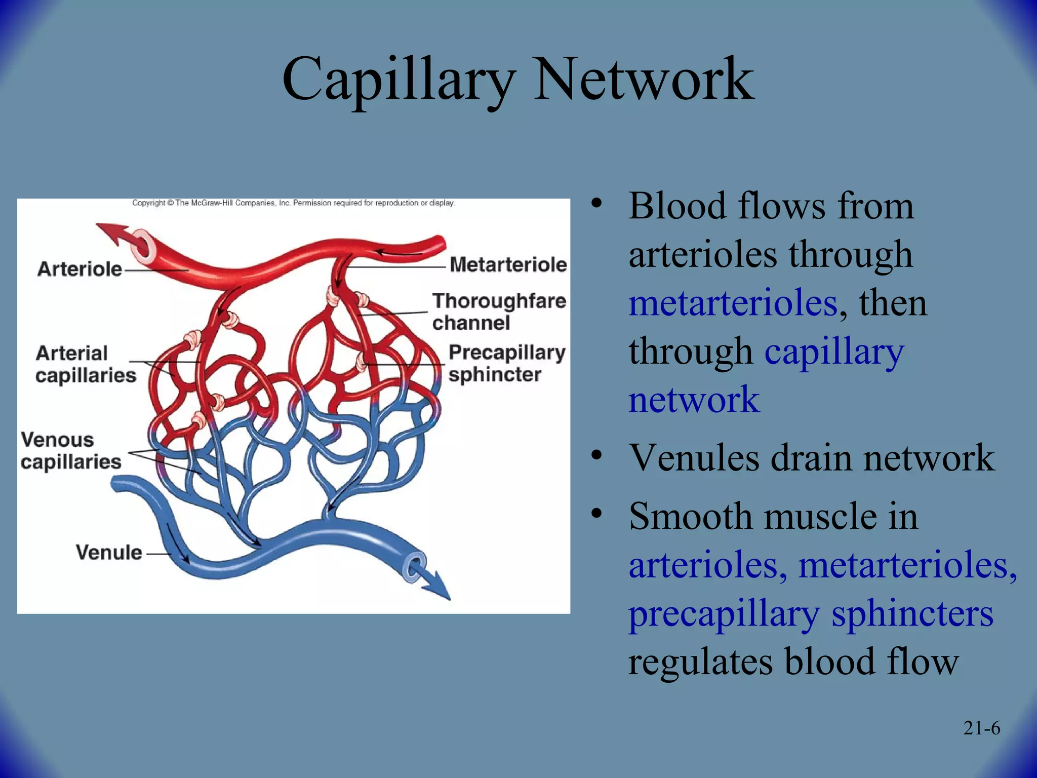 Blood Circulation & Flow | PPT