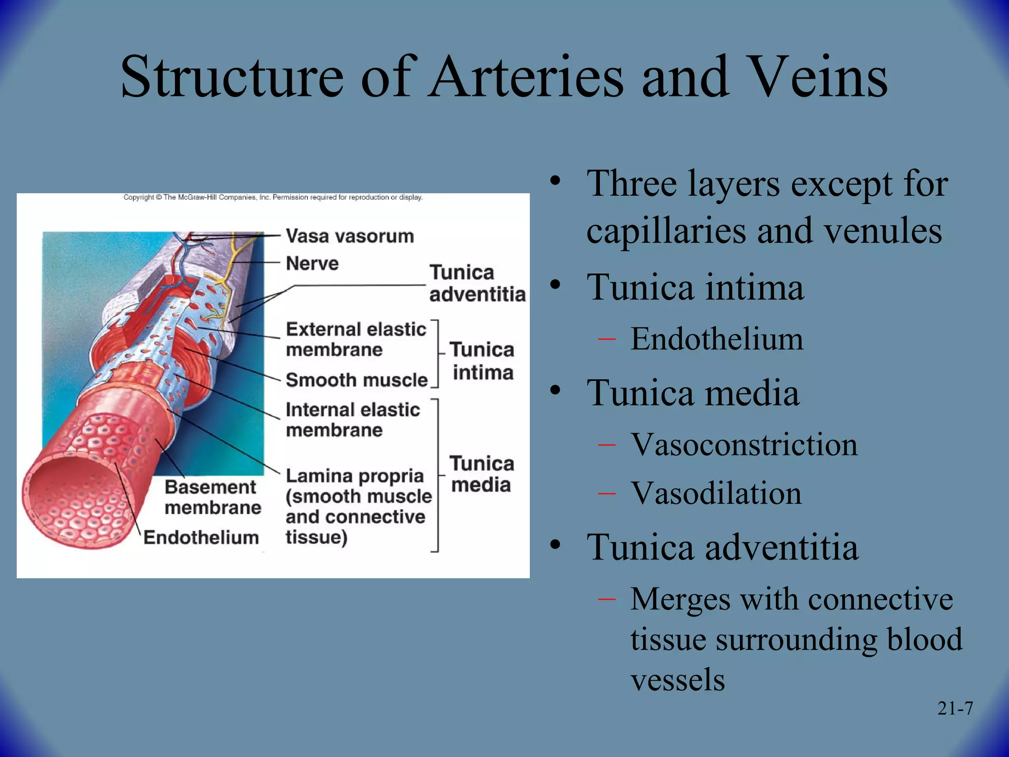Blood Circulation & Flow | PPT