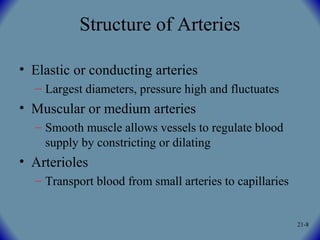 Blood Circulation & Flow | PPT