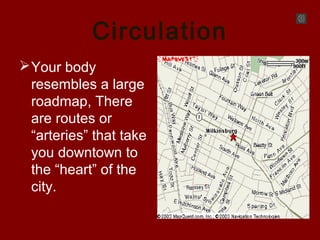Blood & circulation | PPT | Heart and Cardiovascular Diseases ...