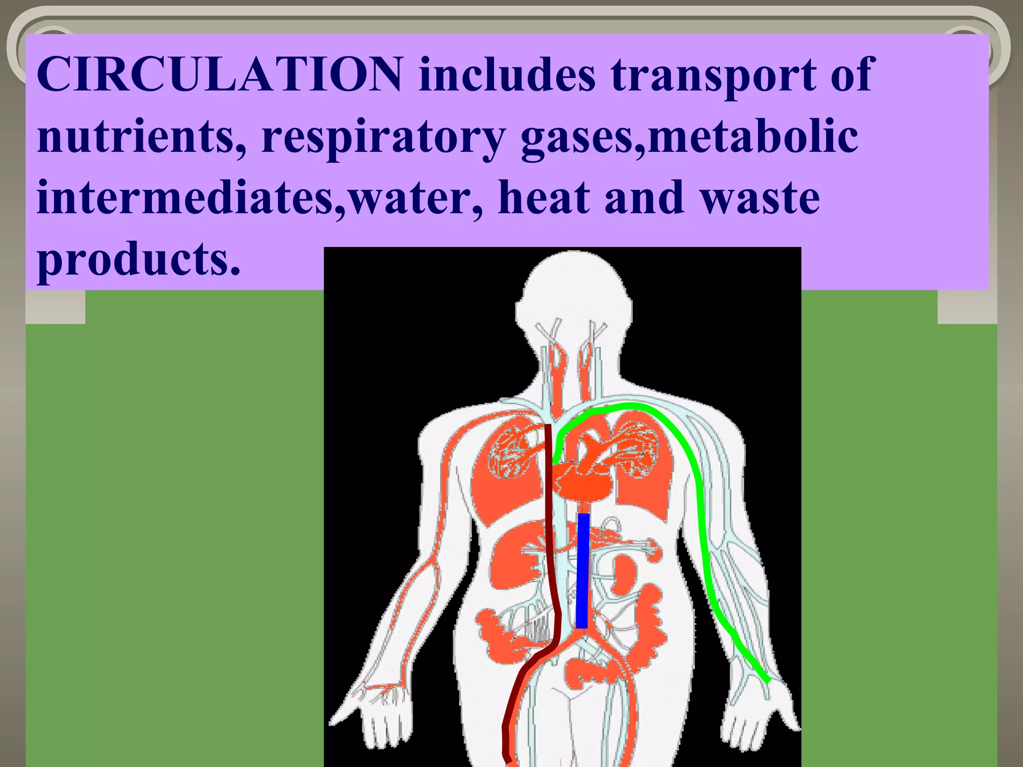 Blood circulation | PPT