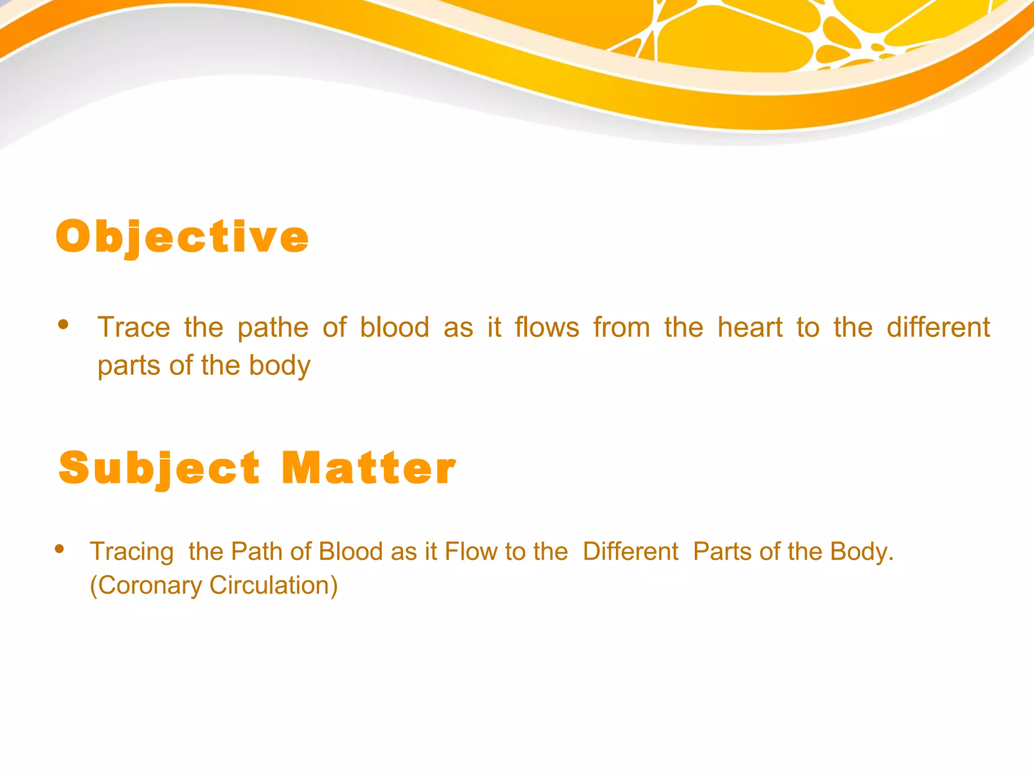 Blood circulation | PPT