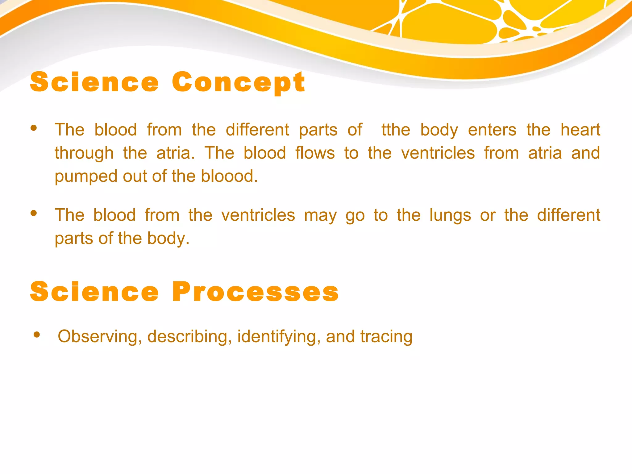 Blood circulation | PPT