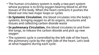 Blood Circulation in Human Body with Description | PPTX