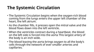Blood Circulation in Human Body with Description | PPTX