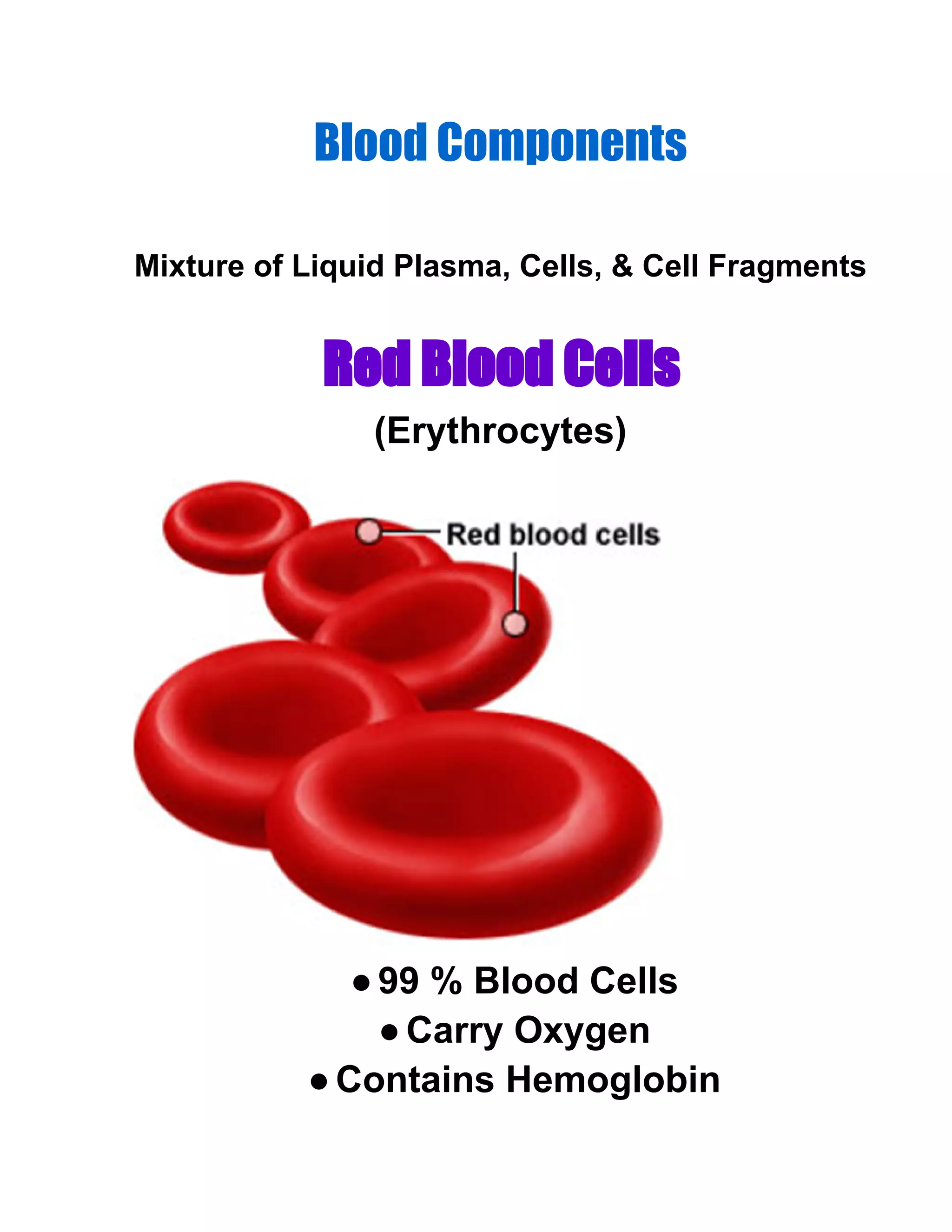 Blood & Circulation (1).pdf