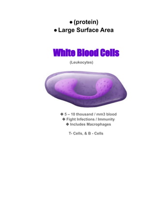Blood & Circulation (1).pdf