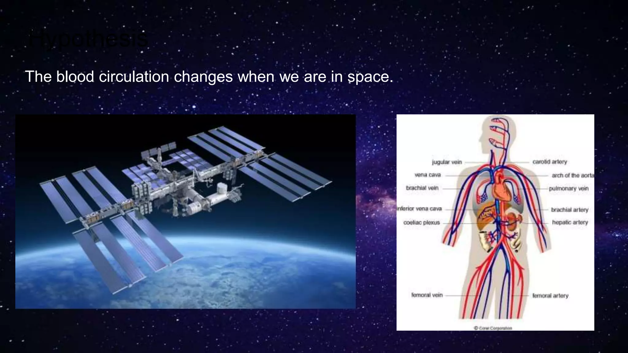 Bloodcirculation in space | PPT