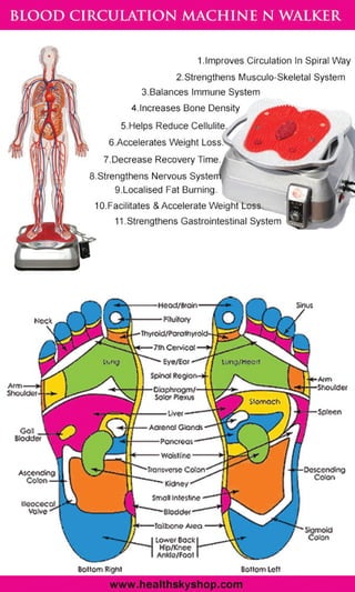 Blood Circulation Machine | PDF