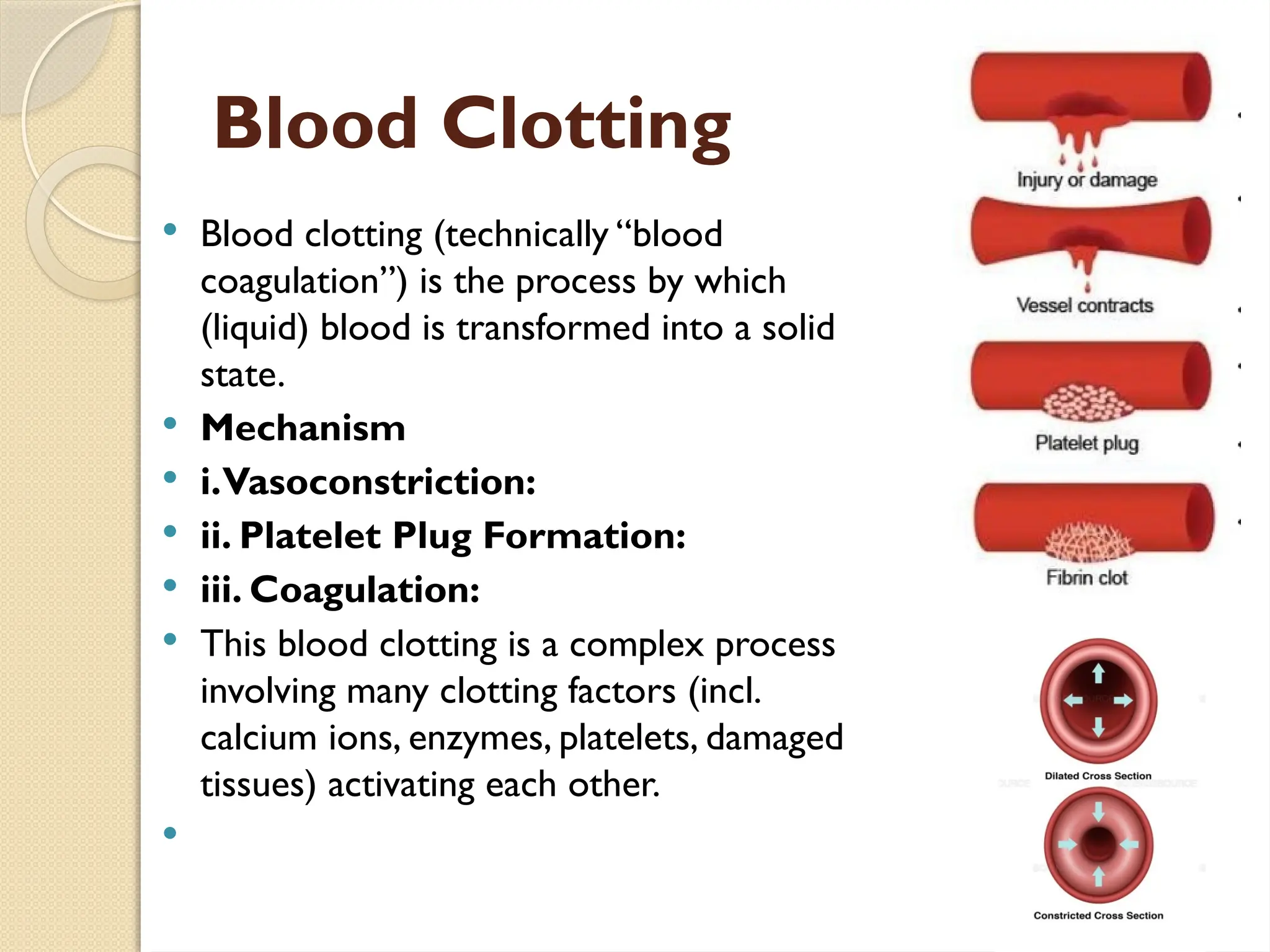 Basic concepts of blood circulation in mammals | PPT