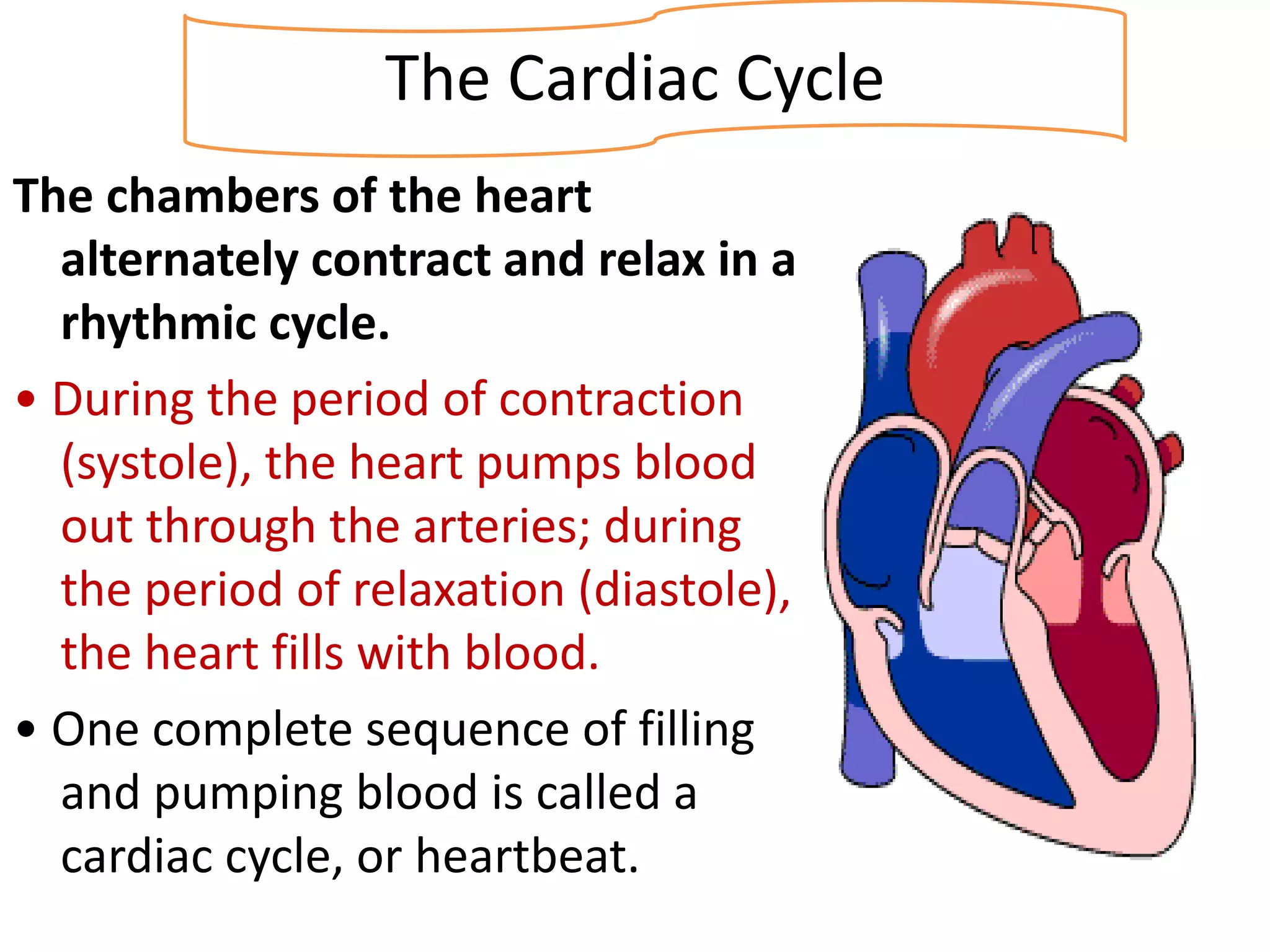 Blood circulation through the heart | PPTX