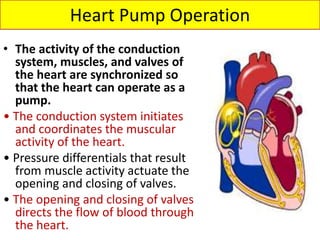 Blood circulation through the heart | PPTX