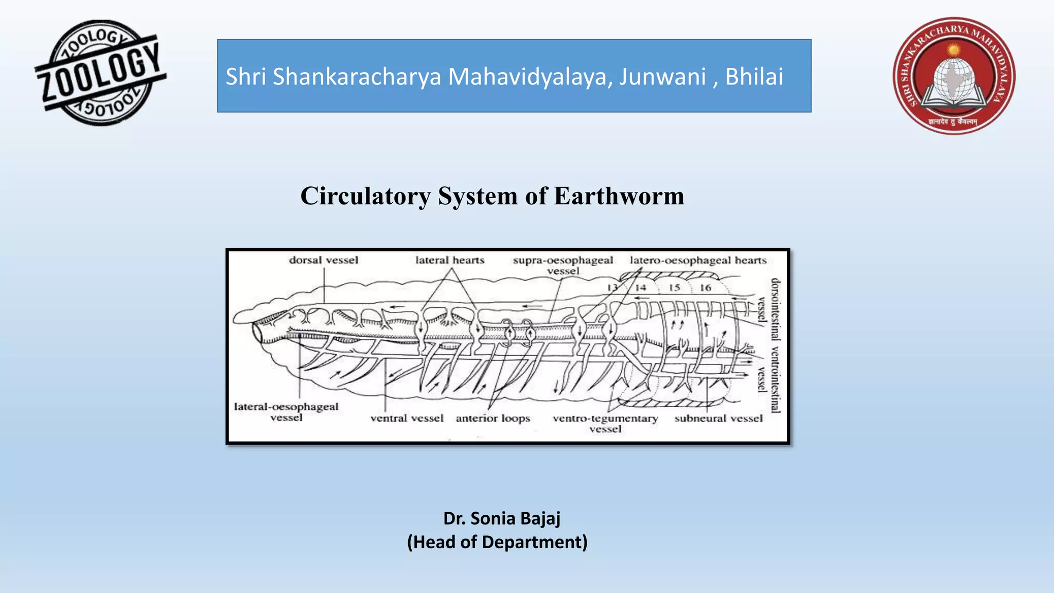 Blood circulatory system of earthworm | PPT