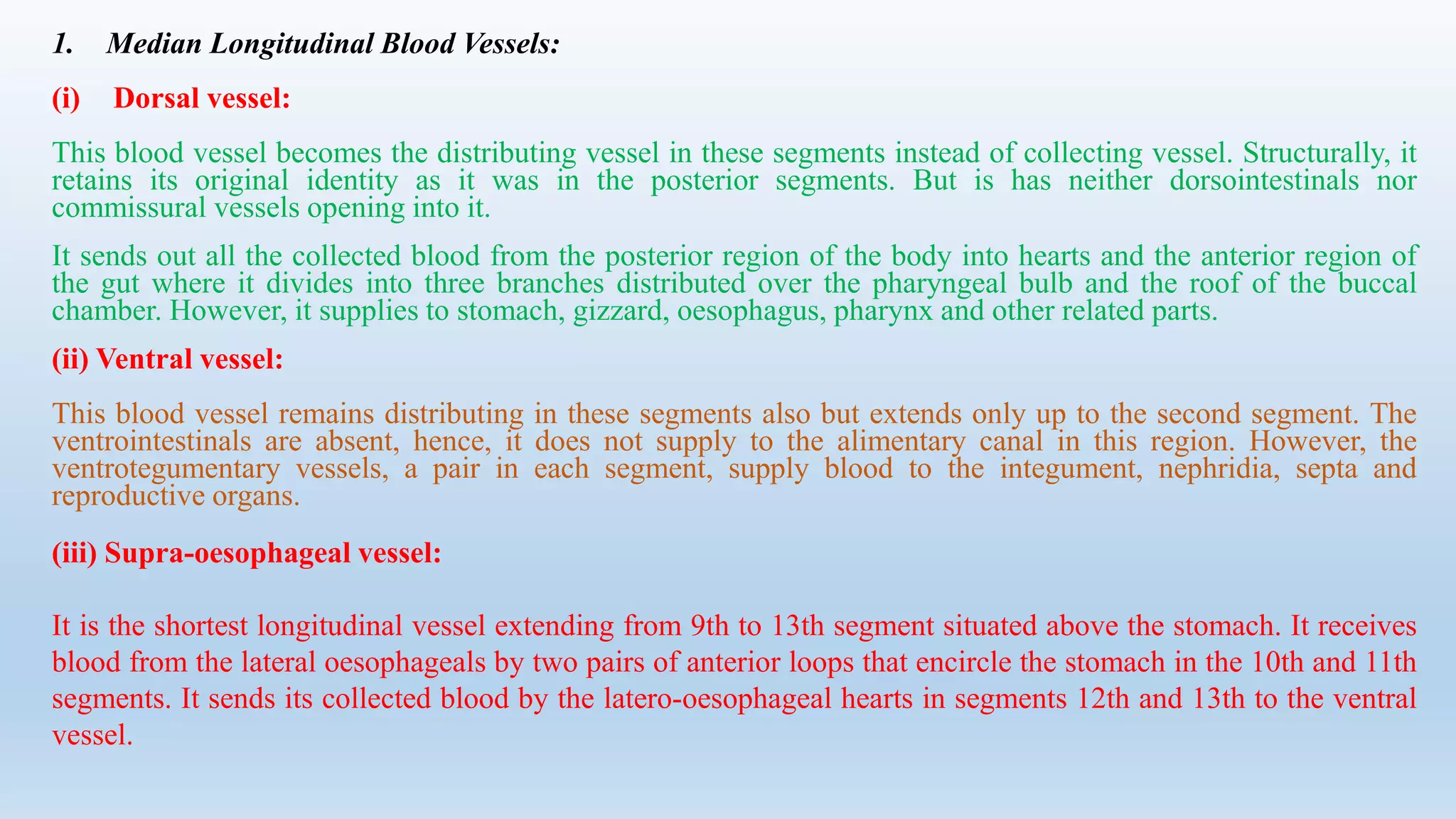 Blood circulatory system of earthworm | PPT