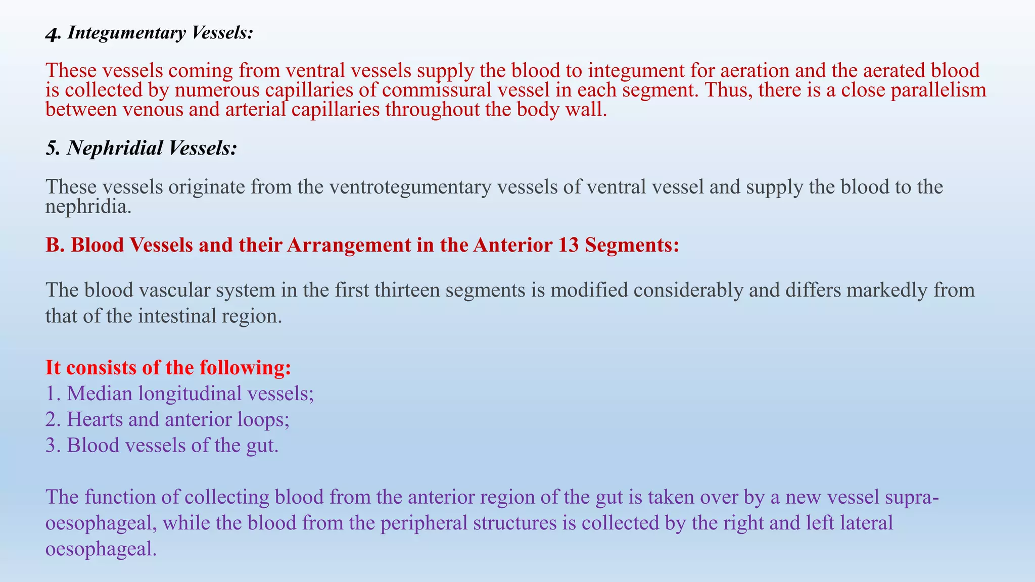 Blood circulatory system of earthworm | PPT