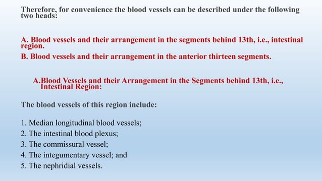 Blood circulatory system of earthworm | PPT
