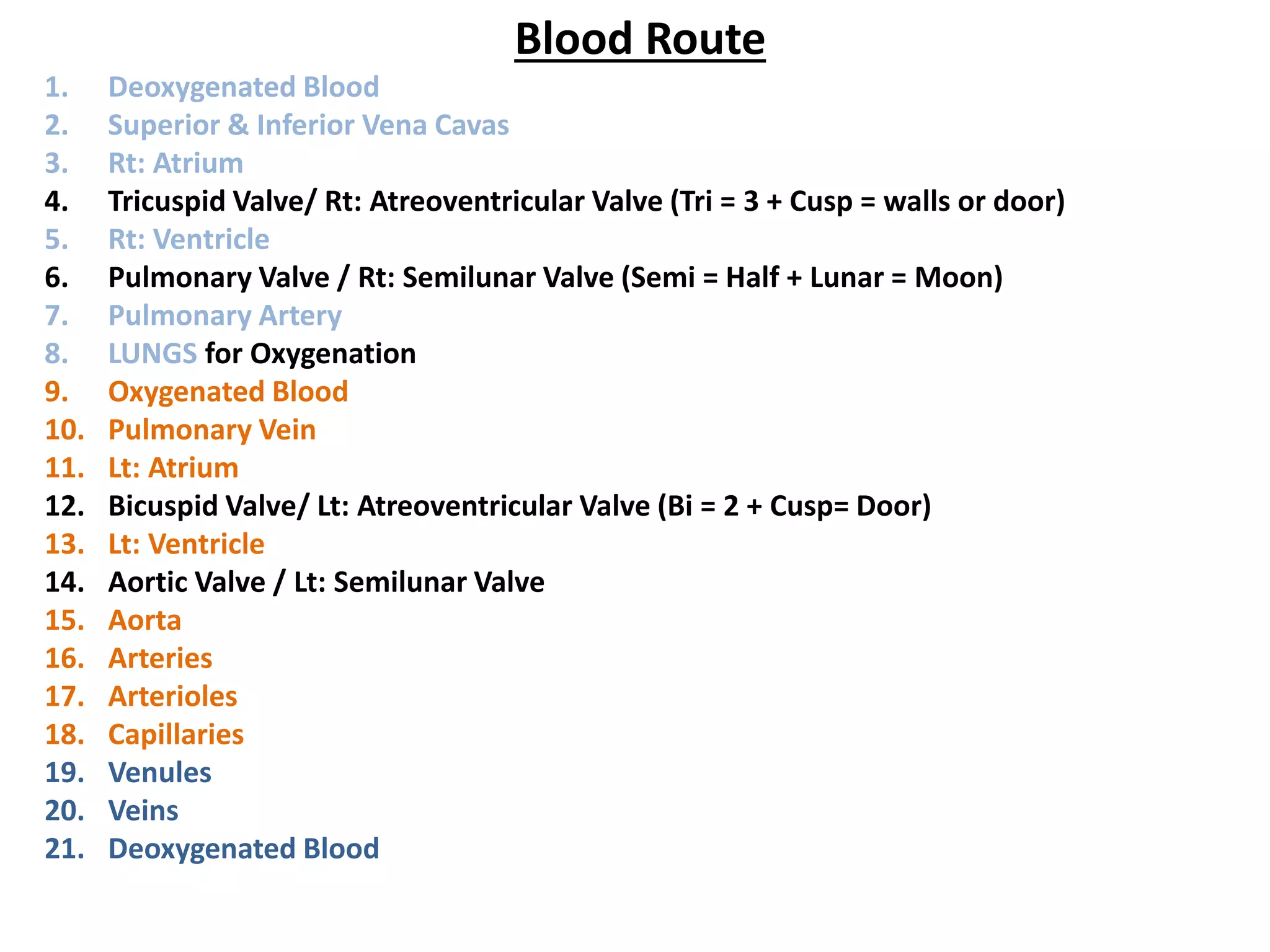 Blood circulatory sytem | PPT