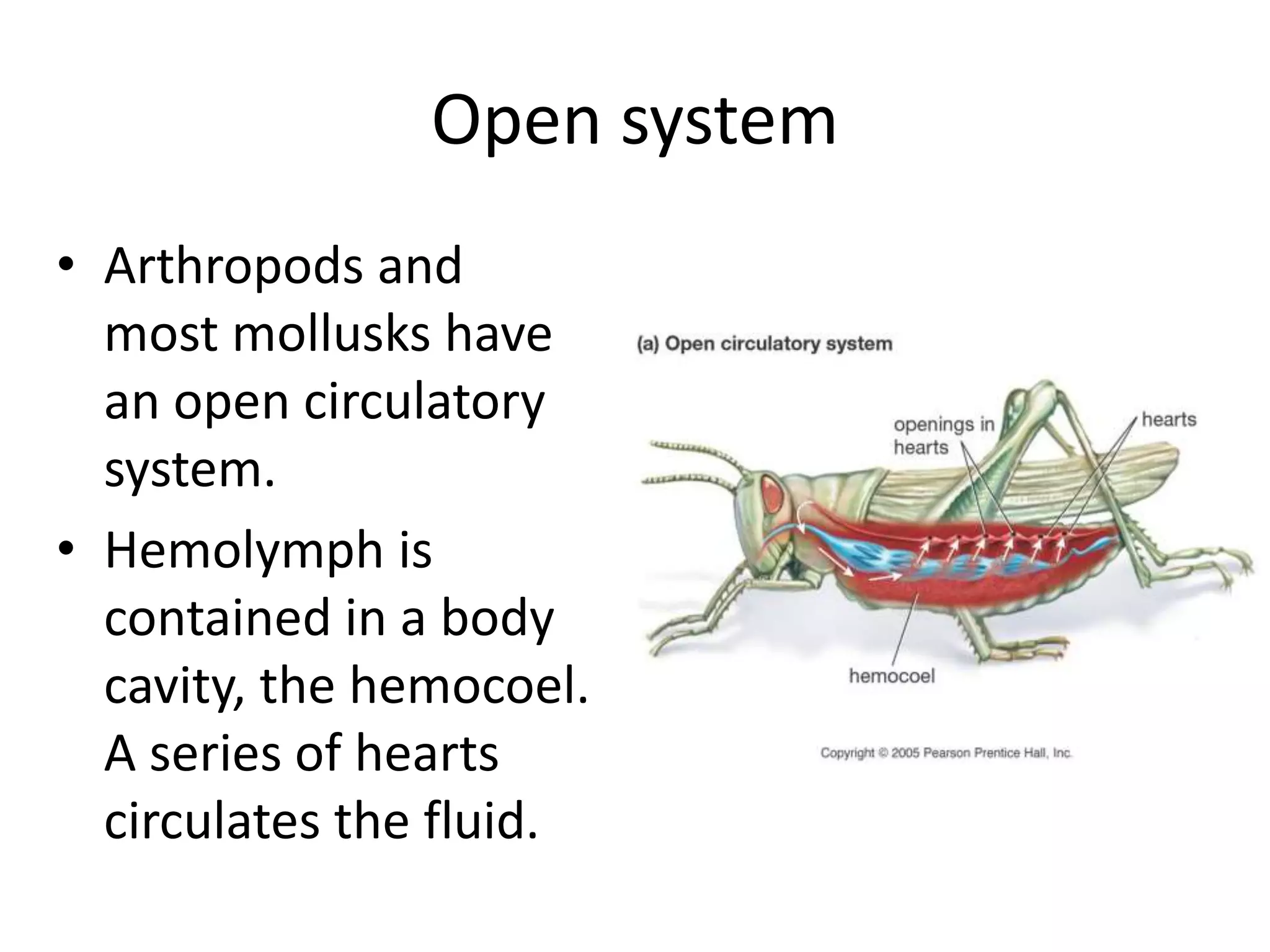 Blood circulatory sytem | PPT