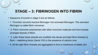 blood clotting. factors, mechanism and body response | PPT