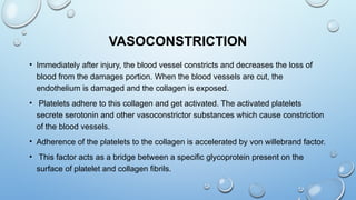 blood clotting. factors, mechanism and body response | PPTX