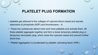 blood clotting. factors, mechanism and body response | PPTX