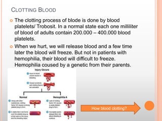 Blood clotting | PPTX