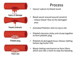 Blood clotting | PPTX