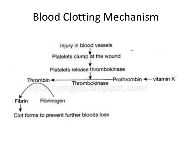 Blood clotting