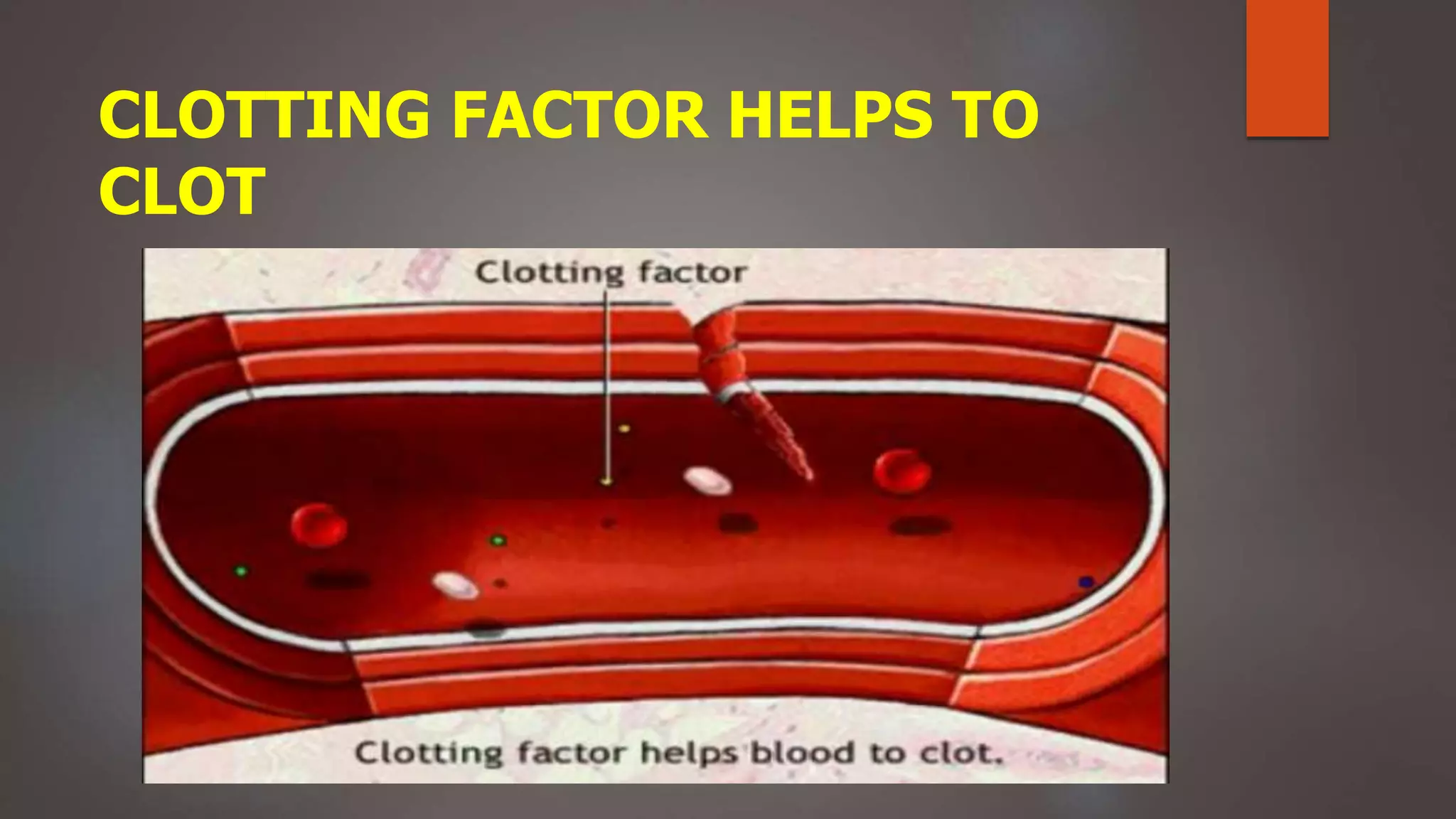 Blood clotting and role of calcium | PPTX