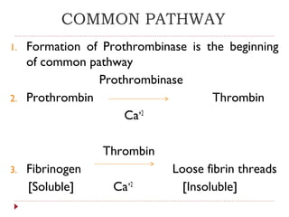 Blood clotting | PPT