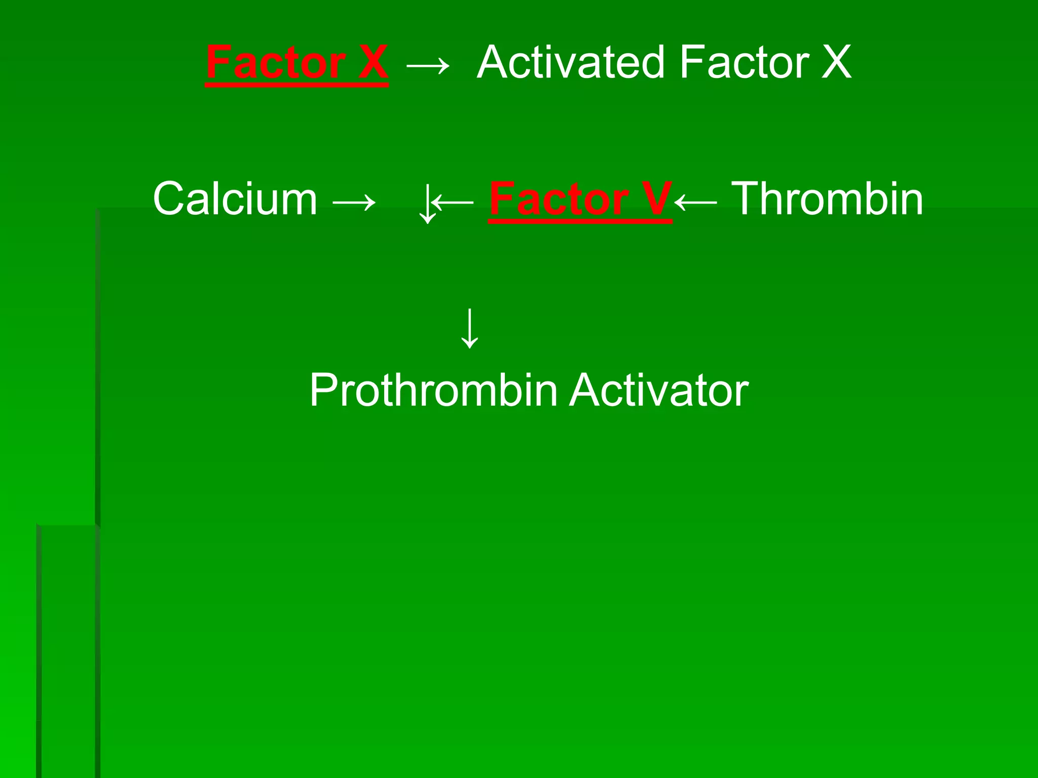 Blood Clotting.pptx