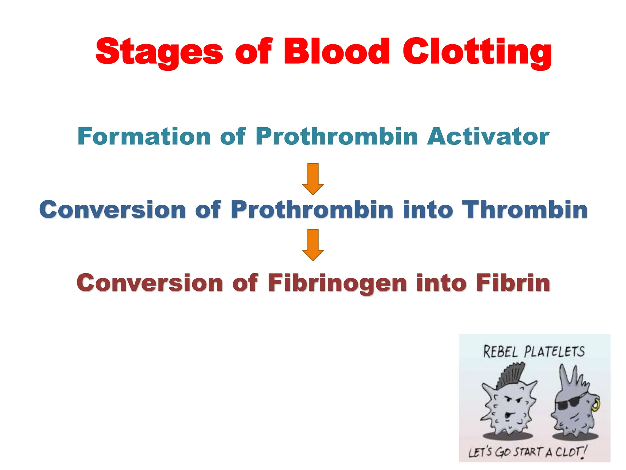 blood time and clotting time bleeding disorders | PPT | Free Download